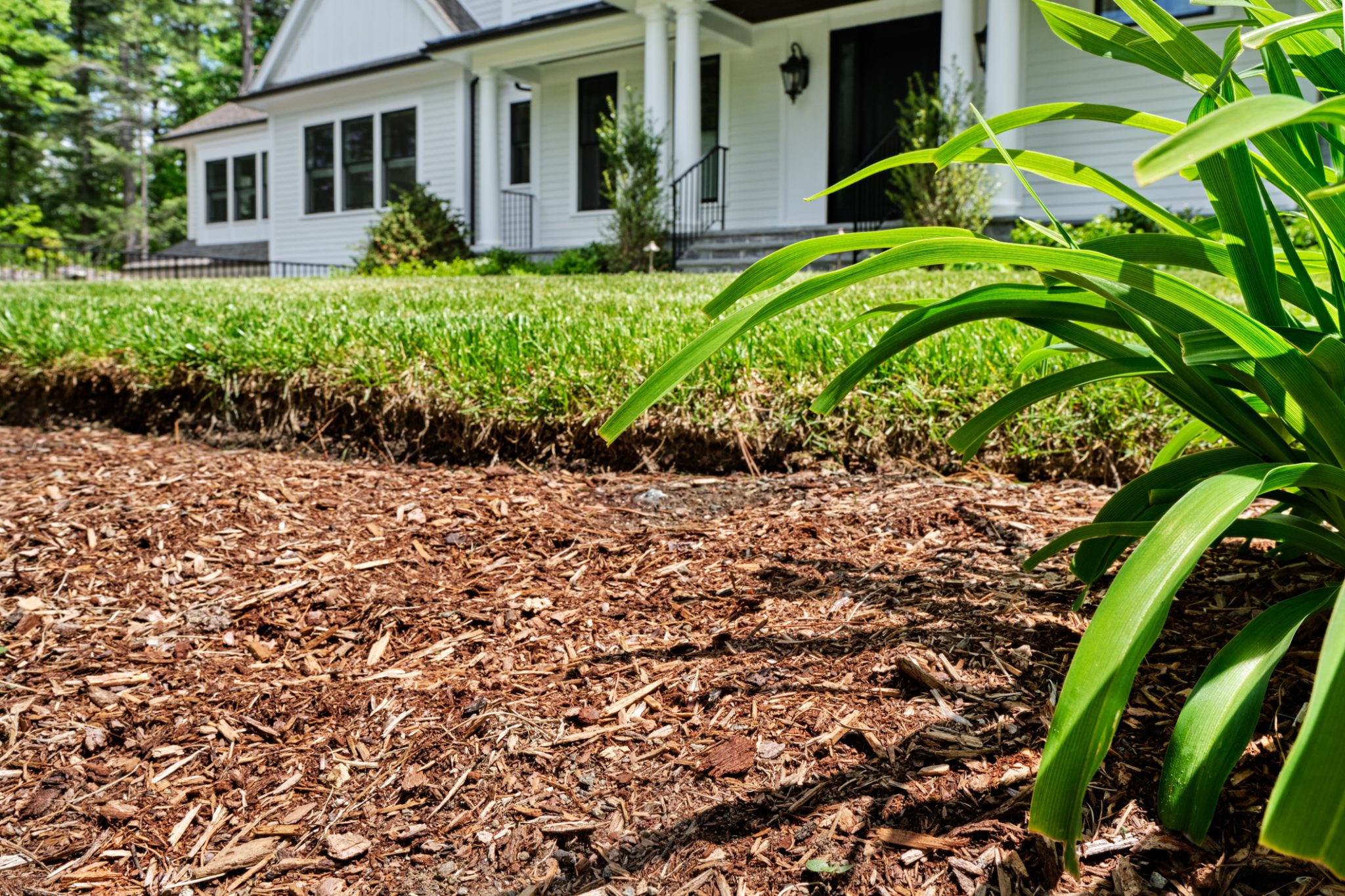 Professional Mulching Services in Maryland | MRW Lawns