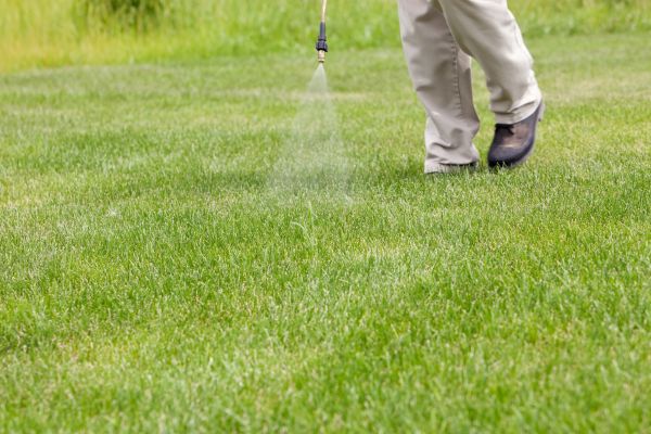 How To Manage Your Lawn Care - MRW Lawns, Maryland, US